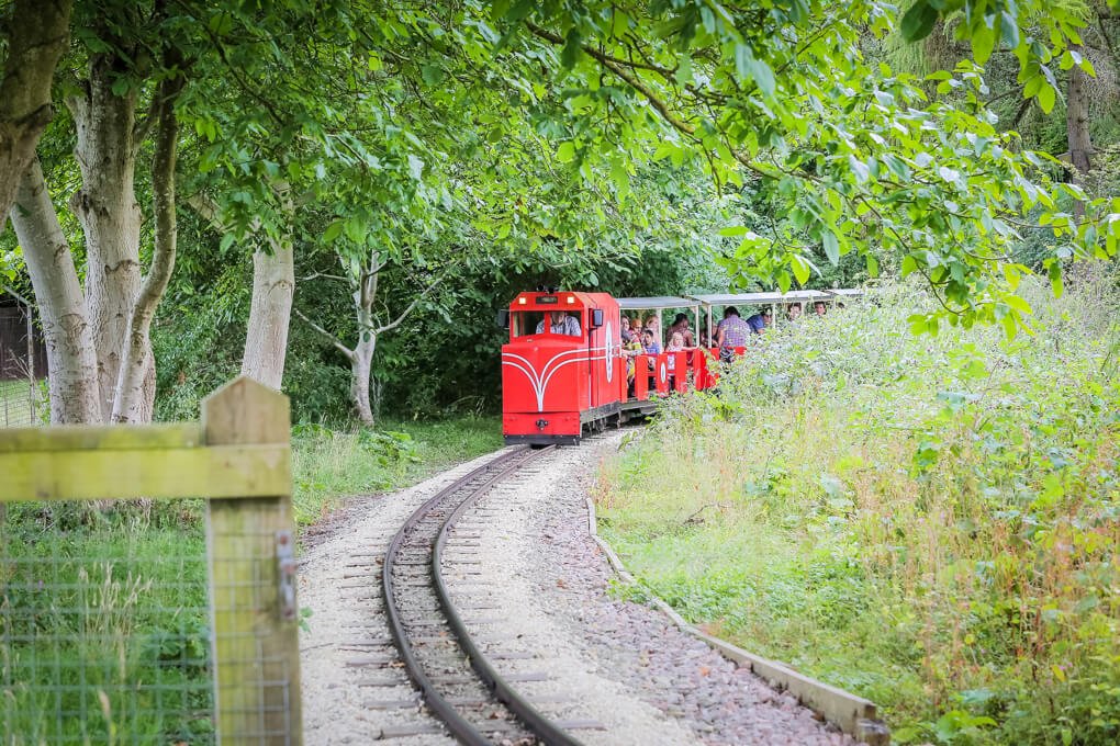 Day Trip to Beale Park - What to Expect when you visit