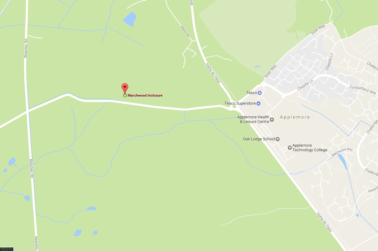 Marchwood New Forest Walk. Fog & Puddles - Snaps and Stories