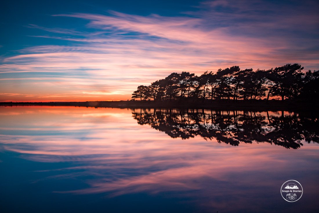 Free Things to do in the New Forest with Children - Snaps and Stories